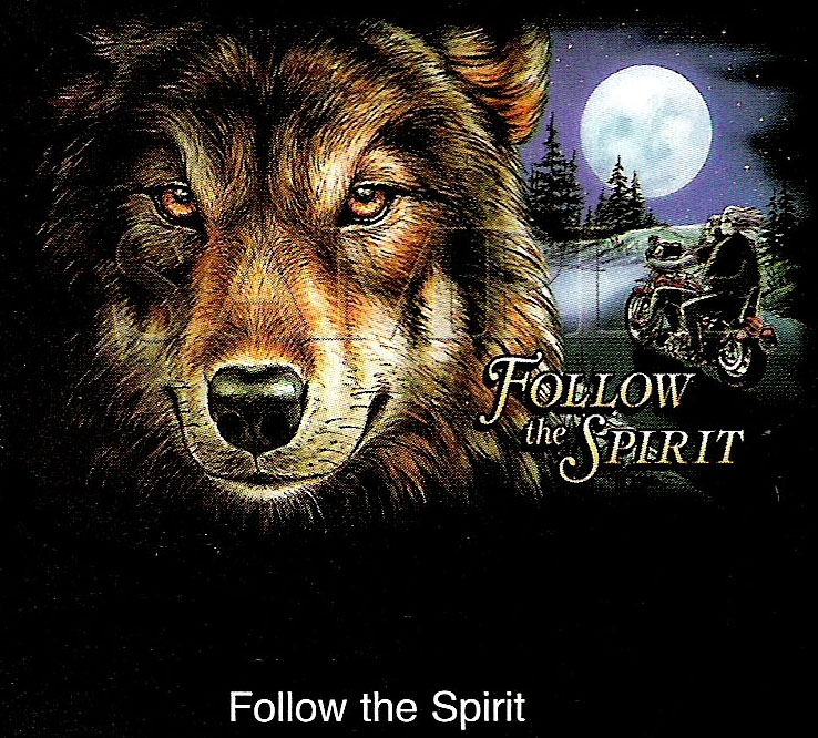 Tee Shirt - Follow The Spirit